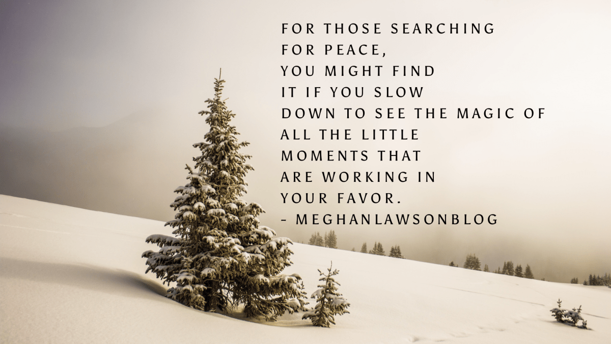 Life is a Special Occasion – MEGHAN LAWSON